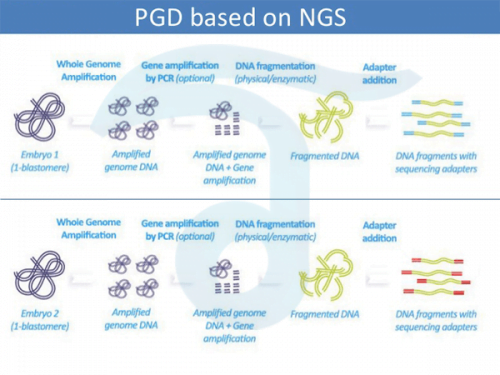 PGD Testing IVF Preimplantation Genetic Diagnosis & Fertility Treatment